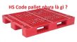 Pallet nhựa hs code là gì ? Ở đâu mới thấy được hs Code